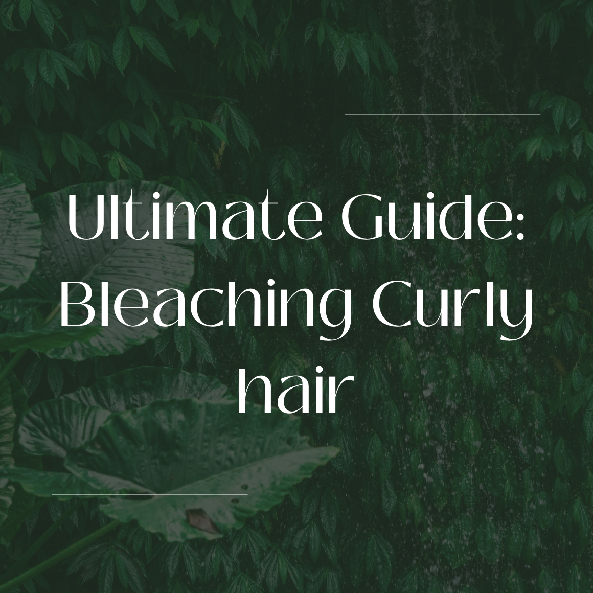 Bleaching Curly Hair: Tips for a Safe and Healthy Transformation – Alié ...