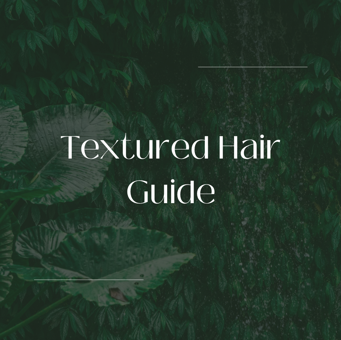 Your Guide to Hair Texture Types – Alié Moisture